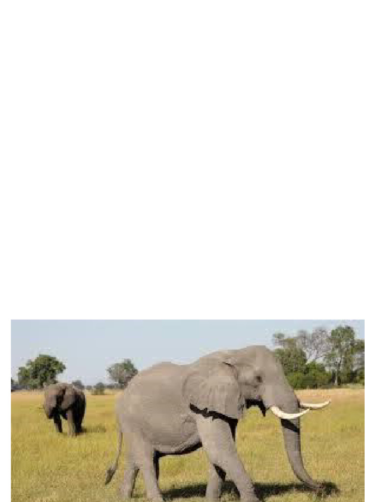 Six Blind Men and The Elephant | PDF | Philosophy