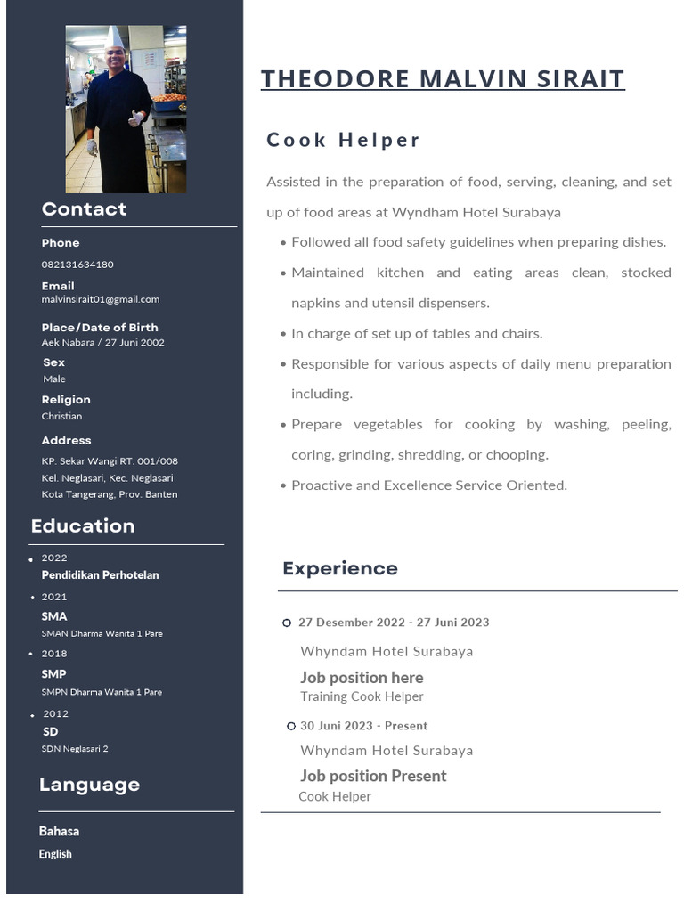 CV Theodore Malvin Sirait | PDF