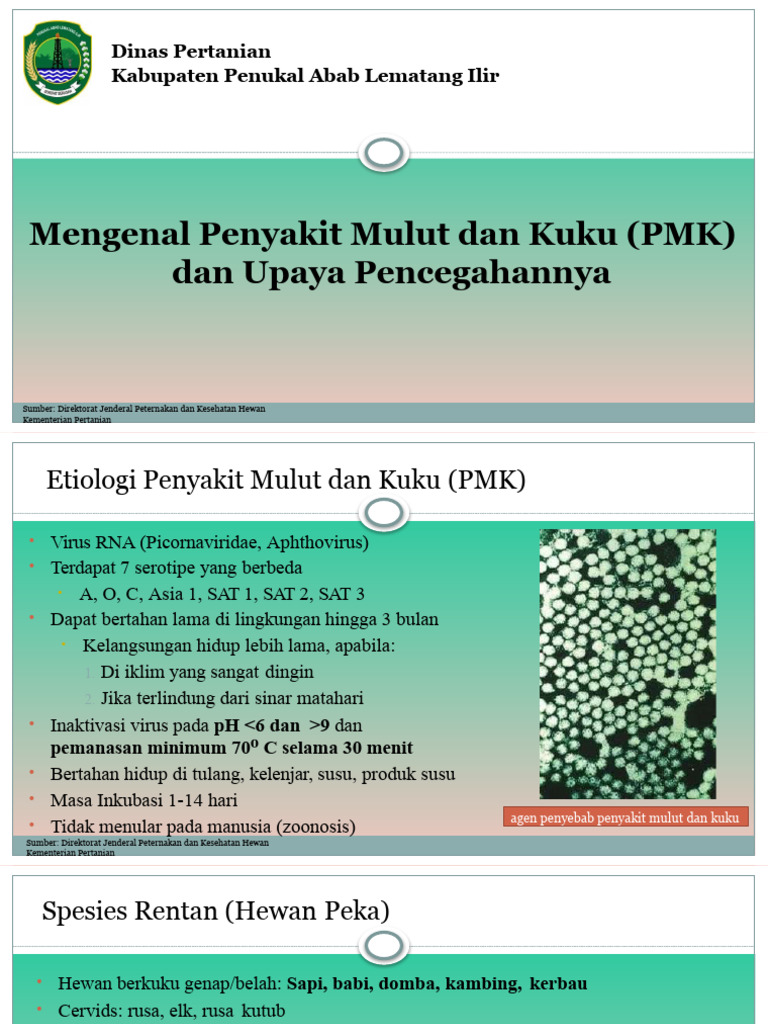 Mengenal Penyakit Mulut Dan Kuku (PMK) Dan Upaya Pencegahannya-PALI | PDF