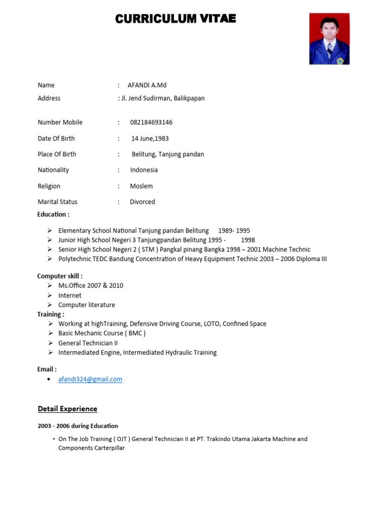 Afandi CV | PDF | Engineering | Mechanical Engineering