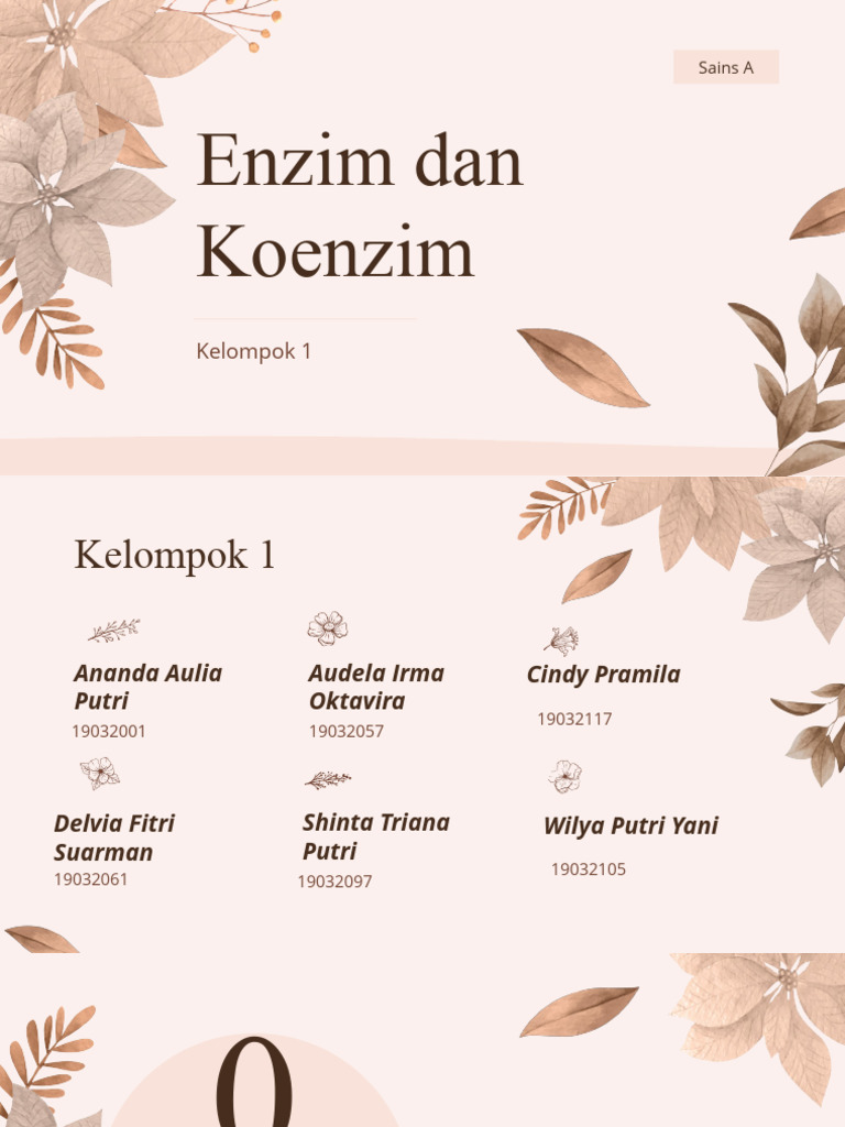 Kel 1 Biokimia Enzim Dan Koenzim | PDF