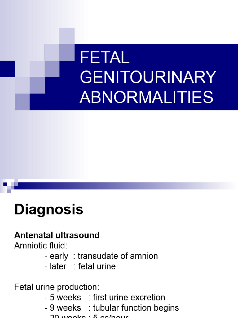 Fetal Genitourinary Abnormalities | PDF | Kidney | Medical Specialties