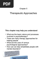 5Ps Formulation Worksheet | PDF