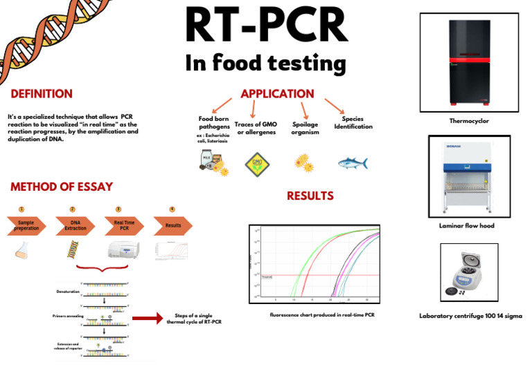 RT PCR | PDF