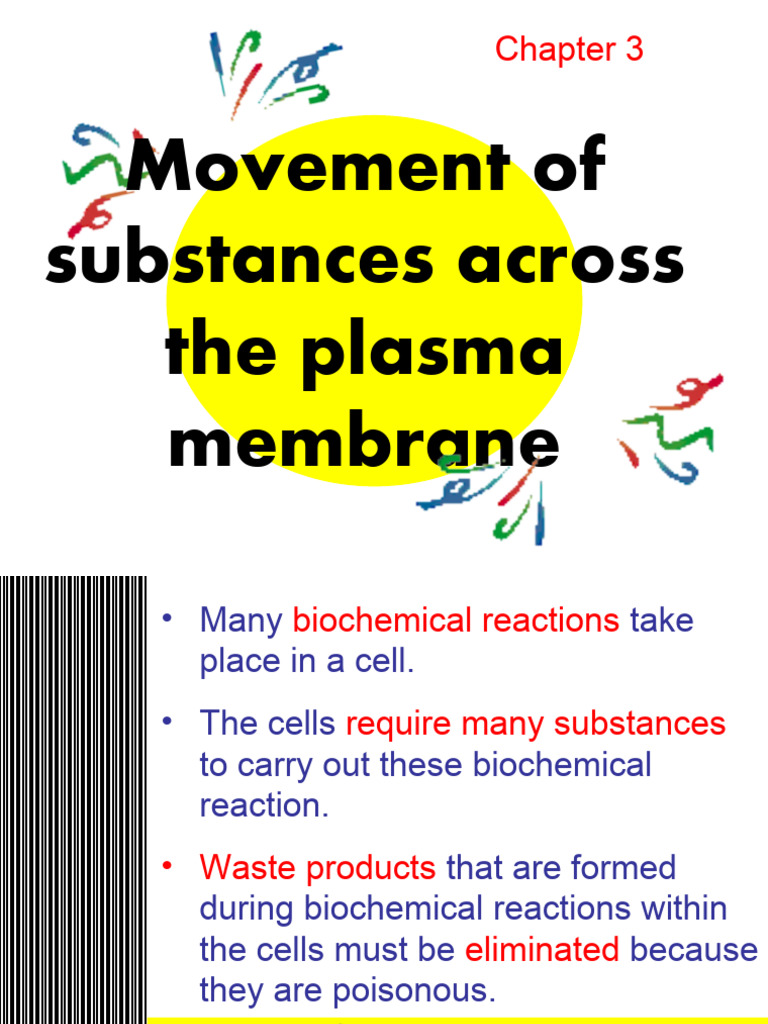 1 Movement of Substances Across The Plasma Membran | PDF | Cell ...