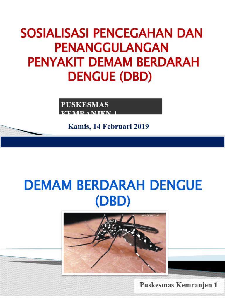 PPT PSN DBD | PDF