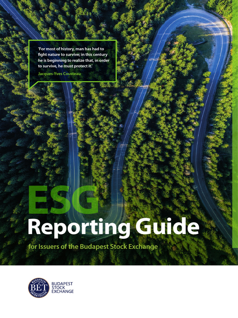 Esg Reporting Guide Final Eng | PDF | Sustainability | Corporate Social ...