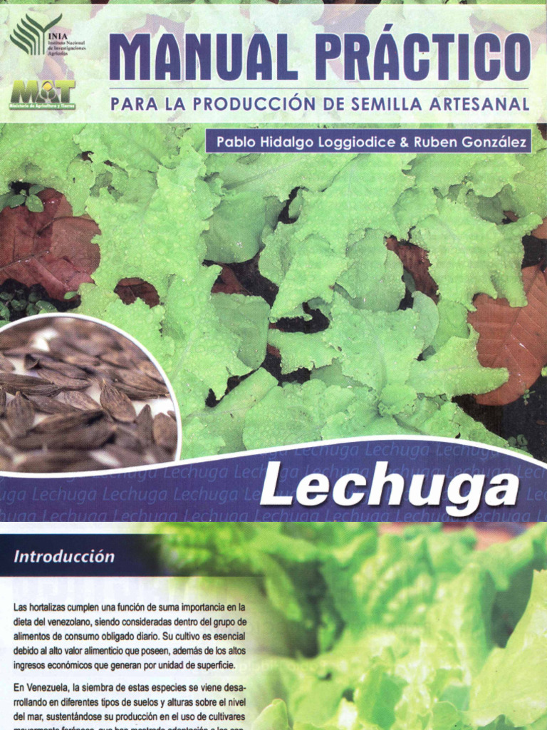 Manual Practico Lechuga | PDF