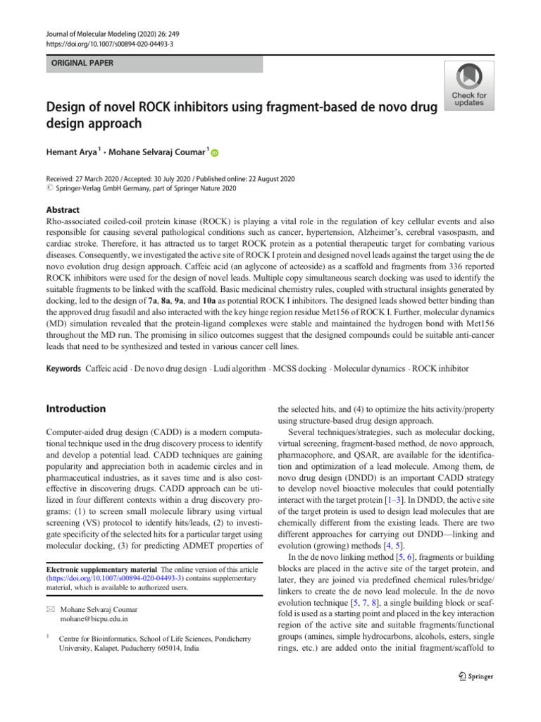 Design of Novel ROCK Inhibitors Using Fragment-Based de Novo Drug ...