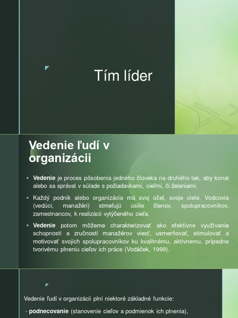 Tím Líder | PDF