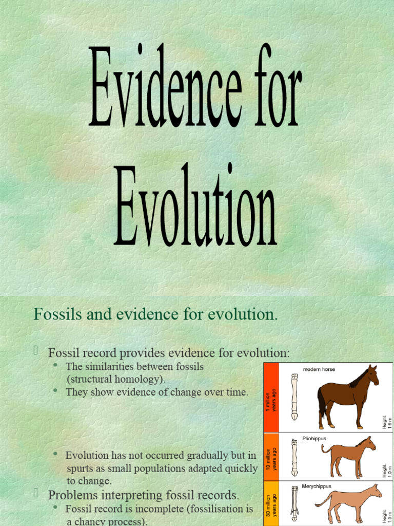 Fossils and Evidence for Evolution | PDF | Evolution | Dna