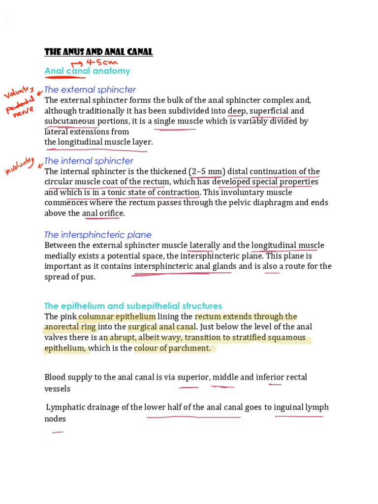 Anus Pdf Hemorrhoid Rectum