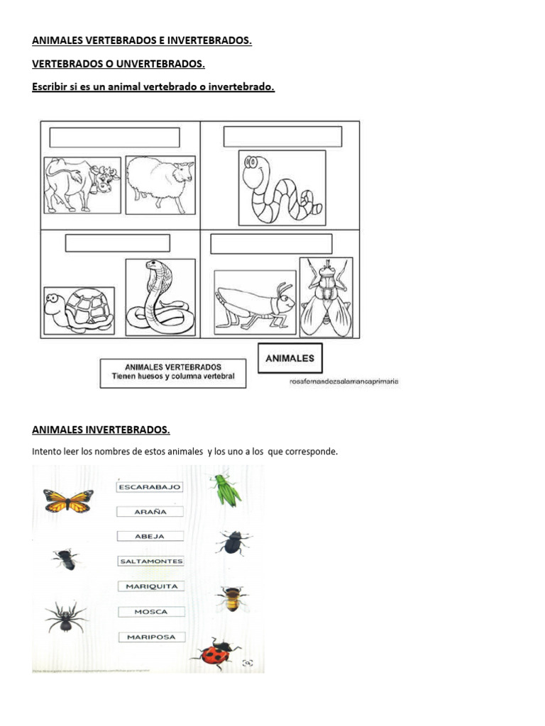 Animales Vertebrados e Invertebrados y El Cuerpo | PDF