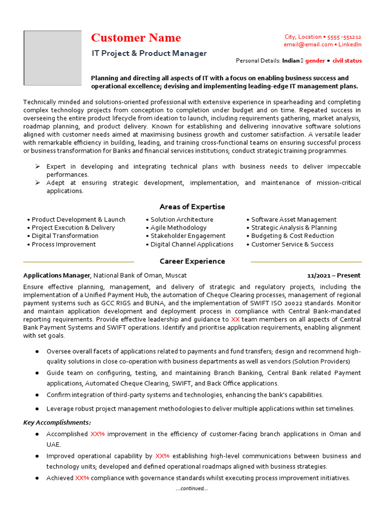 Professional Resume Writing Sample | PDF | Software Development Process ...