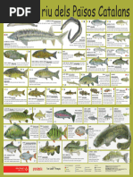 Encadenat Animals Marins | PDF