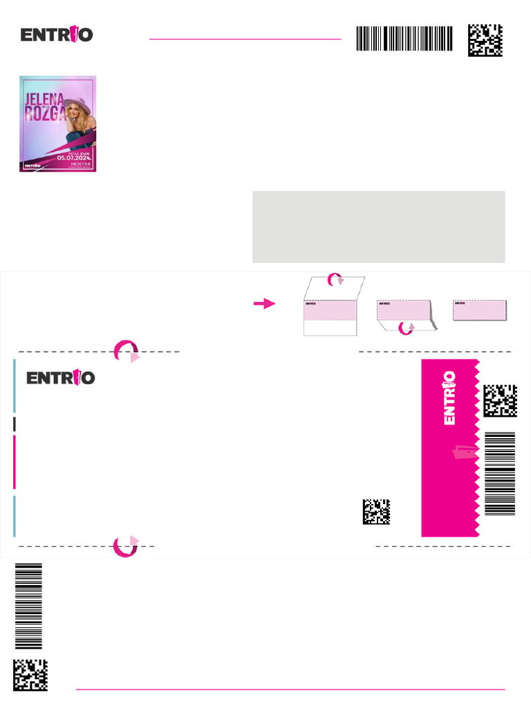 Entrio Ulaznica Fan Pit 16656 57016656180758418055 | PDF