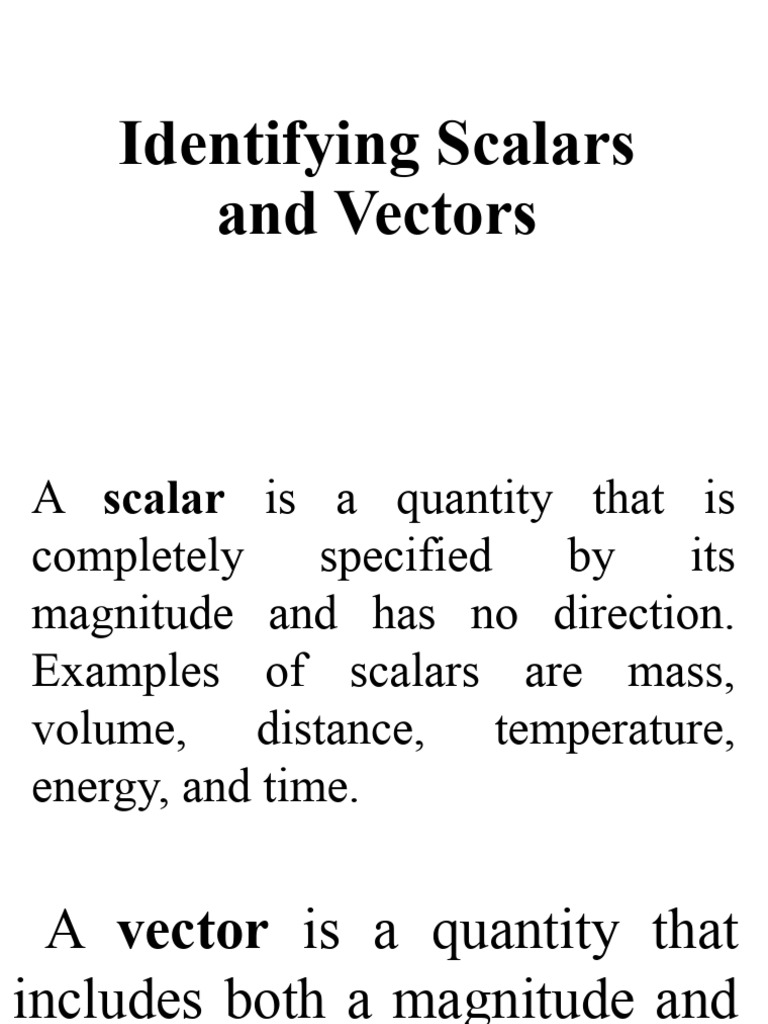 Identifying Scalars and Vectors | PDF | Teaching Methods & Materials