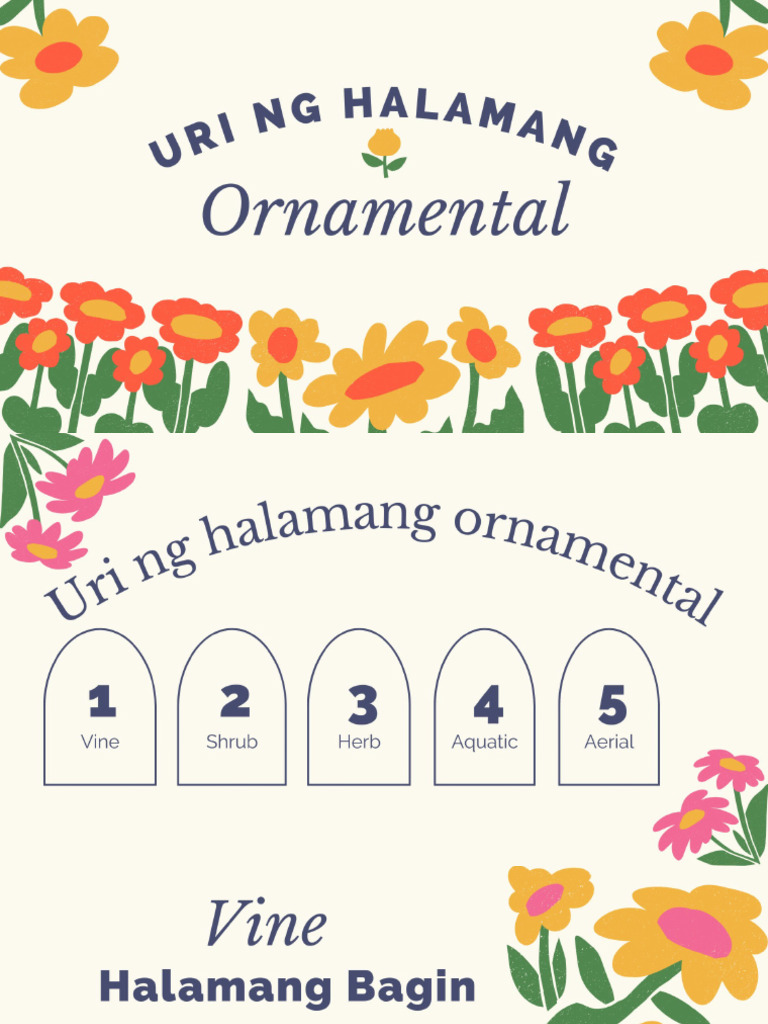 EPP4 Lesson3 Week3.2 | PDF