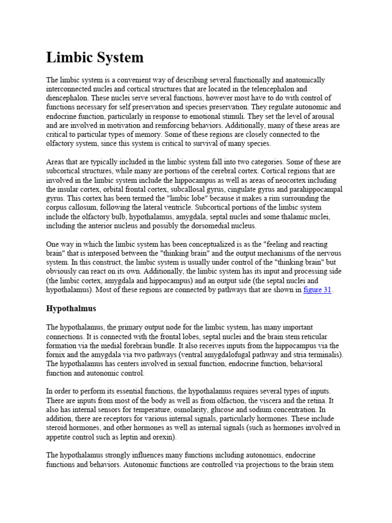 Limbic System | PDF | Limbic System | Hippocampus