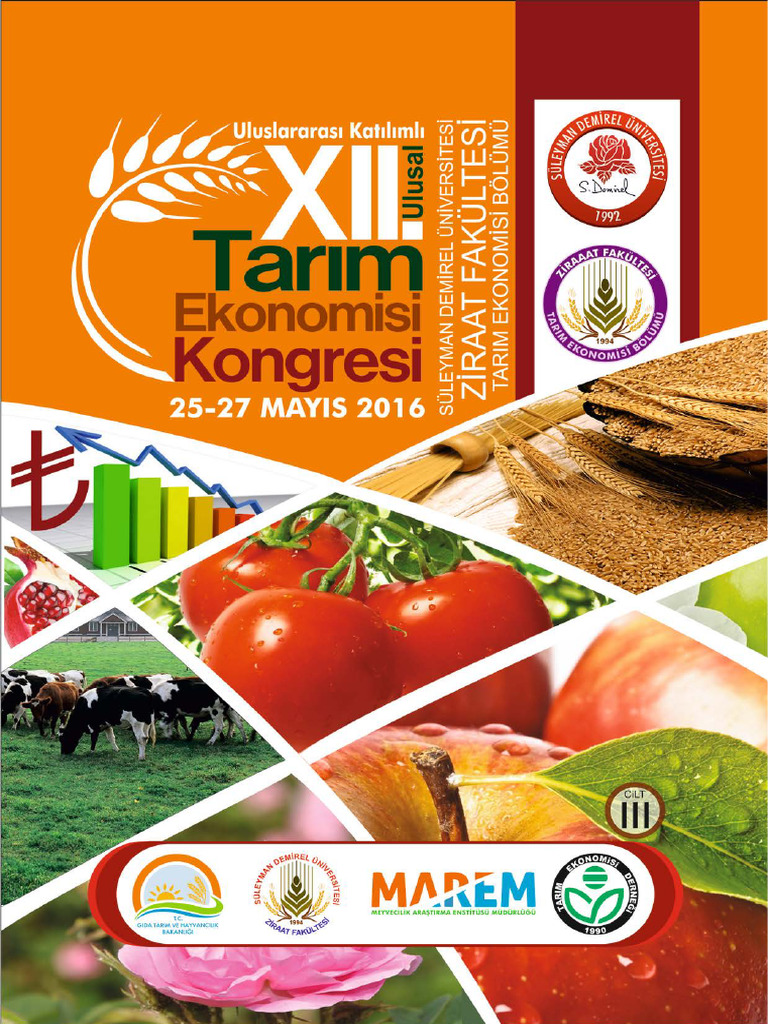 Cilt III (PDFDrive) | PDF