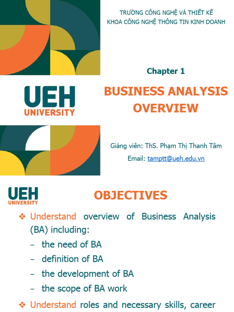 Chapter01 - BA Overview | PDF