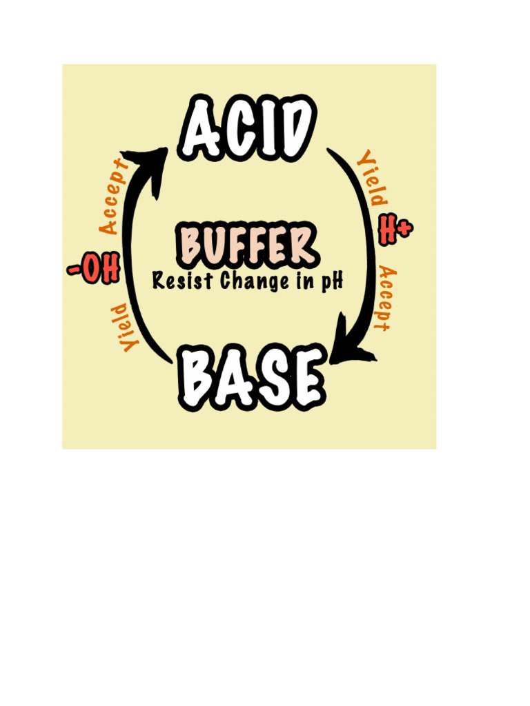 Acid Base Balance Vector | PDF