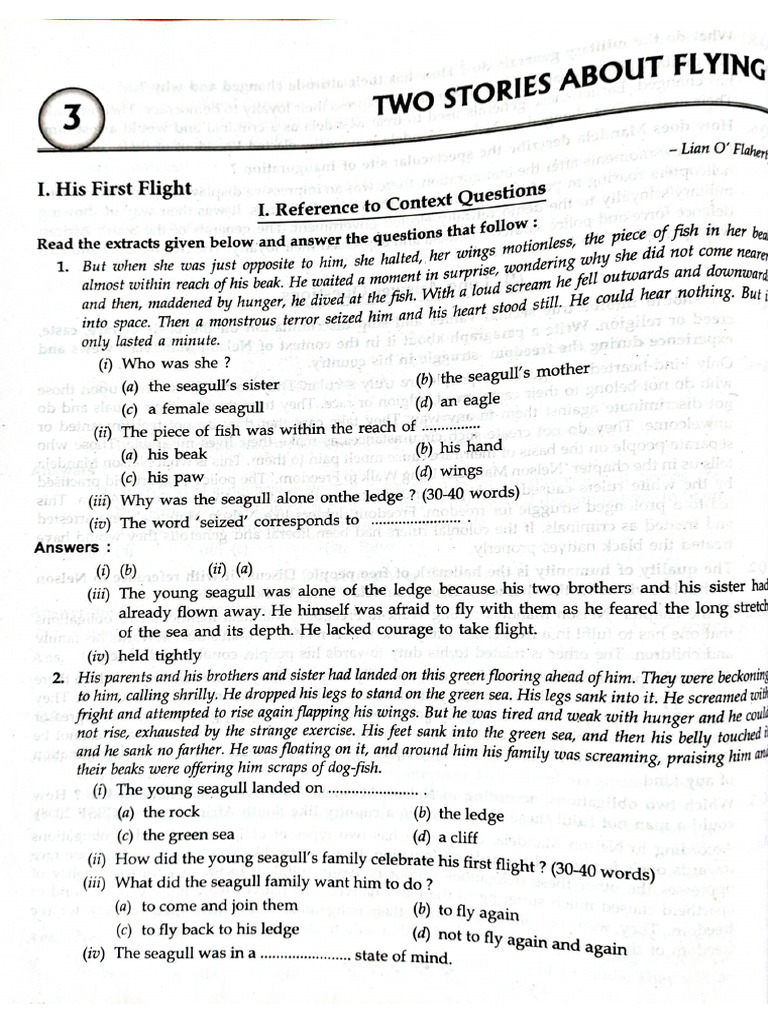 The Story About Flying Extra Questions | PDF