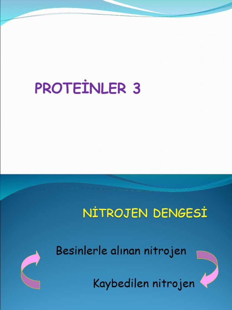 10 Ders | PDF