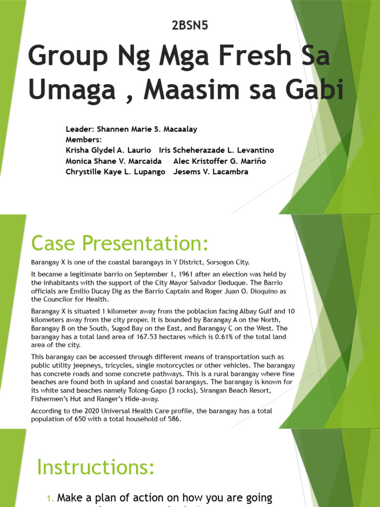 2BSN5 CHN Case Presentation | PDF | Community
