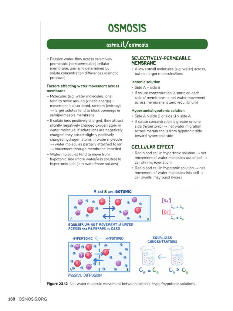 GenBio1 Osmosis | PDF