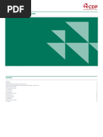 Scoring-Introduction CDP | PDF | Methodology | Risk