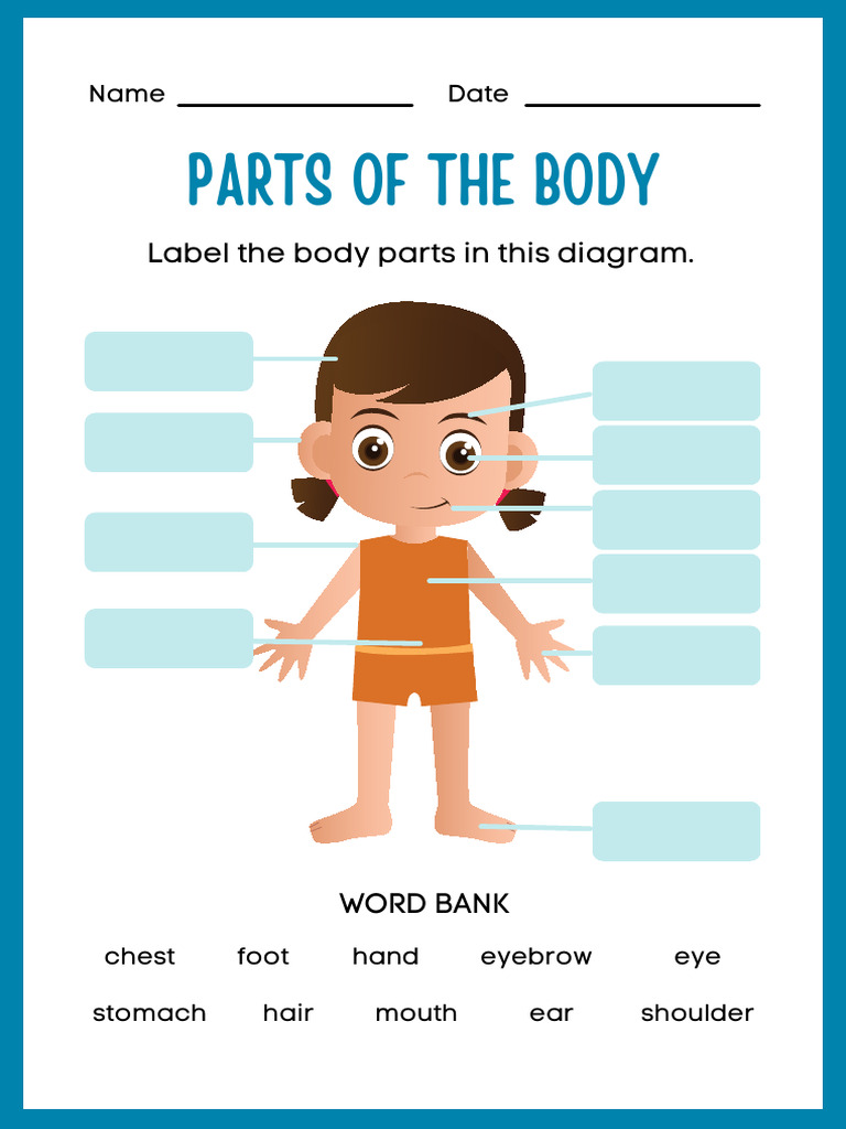 Body Parts | PDF