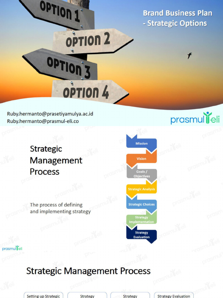 Brand Business Plan - Strategic Options Handout by RUB Flaten | PDF