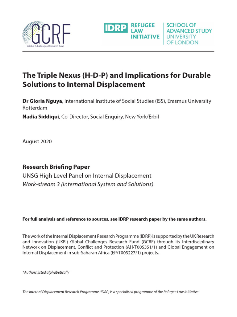 HDP Nexus Strategies IRDP | PDF | Internally Displaced Person ...