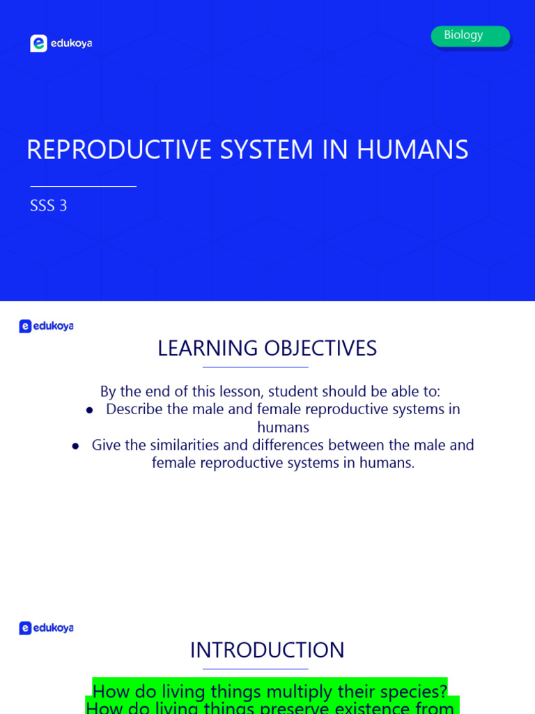 Reproductive System in Humans | PDF | Reproductive System | Sexual ...
