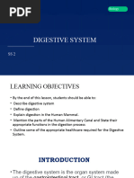 Rat Digestive System Overview | PDF | Stomach | Human Digestive System