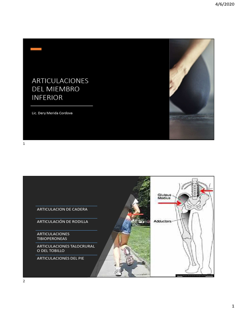 Articulaciones Del Miembro Inferior | PDF | Rodilla | Articulaciones