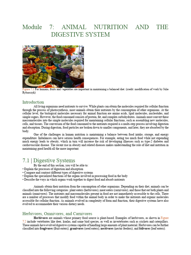 Digestive System - Gen Zoology | PDF | Digestion | Stomach