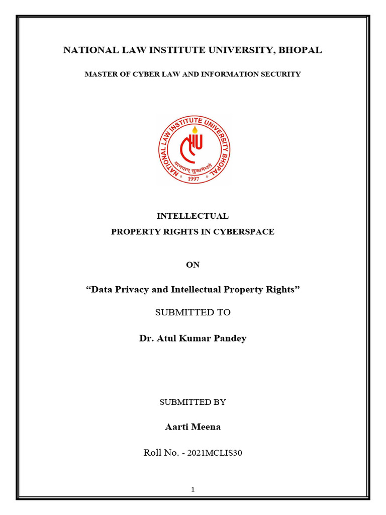 IPR in Cyberspace Project | PDF | Privacy | Intellectual Property