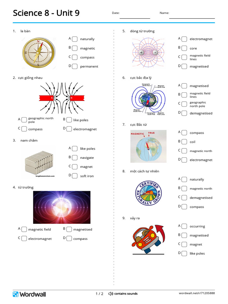 science-8-unit-9-quiz | PDF | Compass | Magnetism