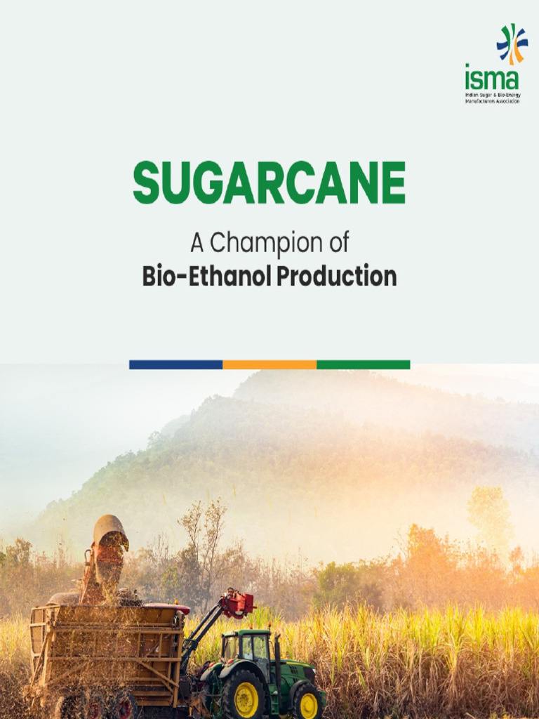 Bio Ethanol Production | PDF
