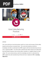 GMP Training Presentation | PDF