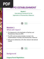 ISPM 15 Wood Packaging Material - Intl Trade | PDF