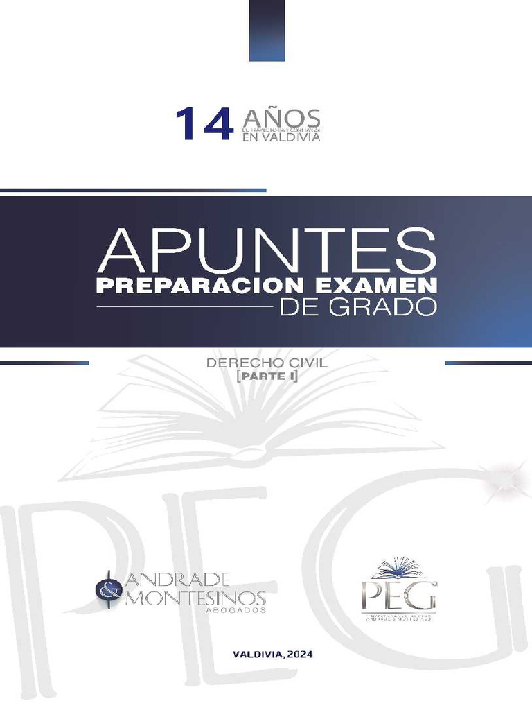 Libro 1 Peg 2024-1-213 | PDF | Pagos | Propiedad