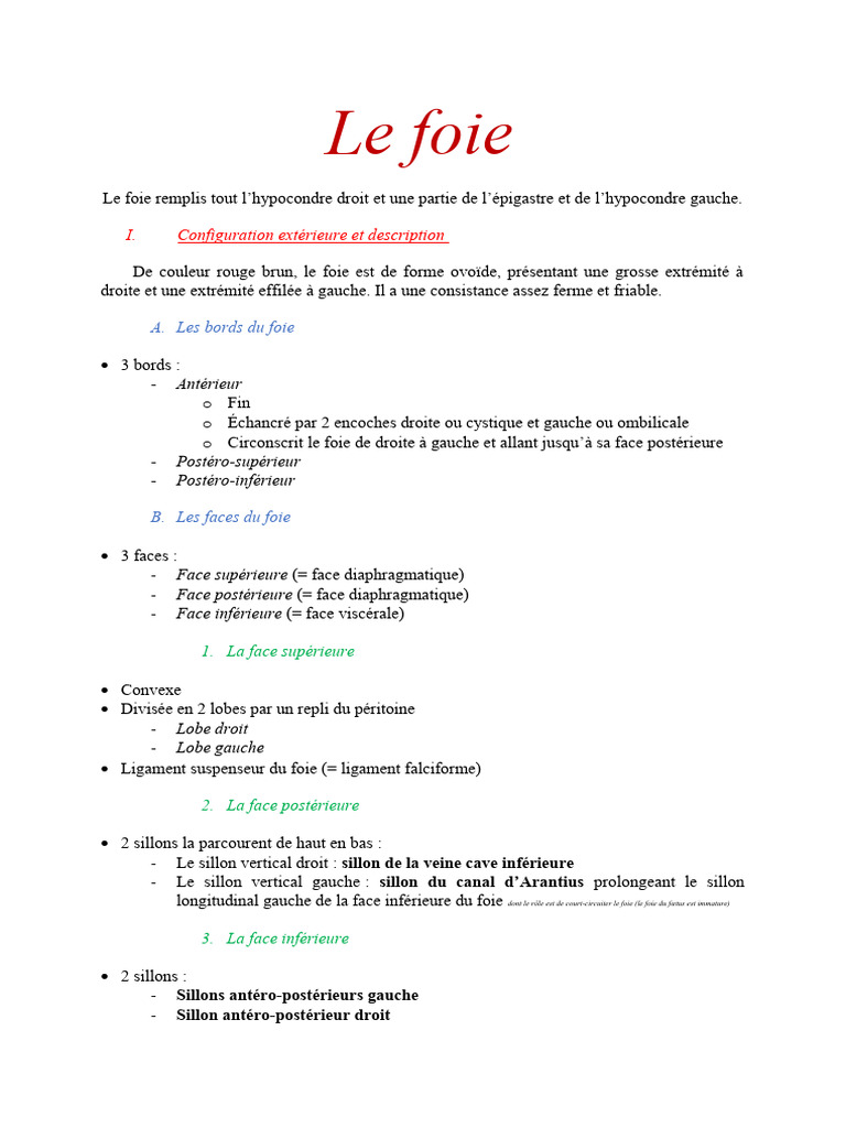 Anatomie et localisation du foie | PDF | Foie | Anatomie animale