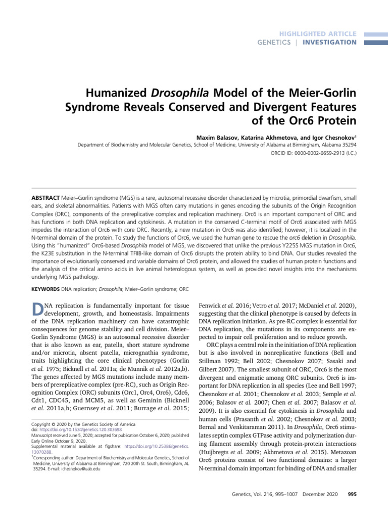 Humanized Drosophila Model of The Meier-Gorlin Syndrome Reveals Conserved and Divergent Features ...