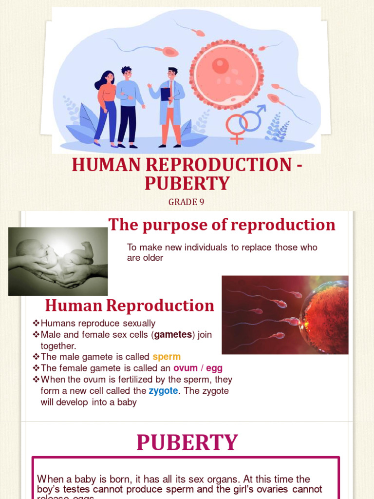 Human Reproduction Puberty Andmale And Female Systems Pdf