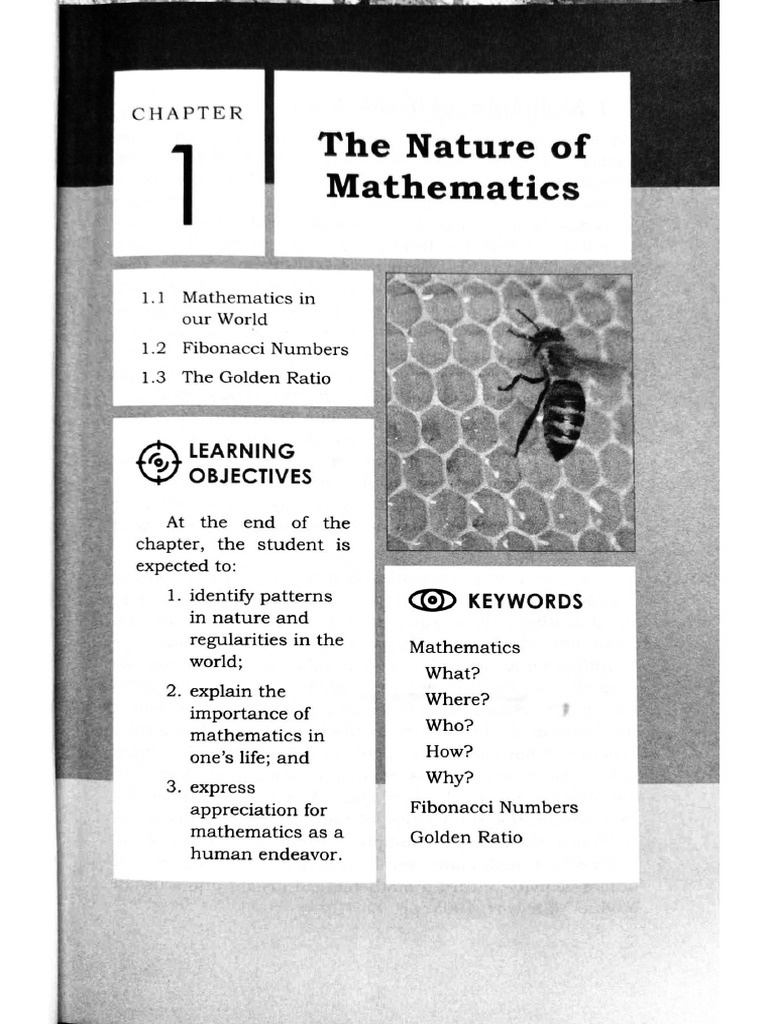 Math Chapter 1 | PDF