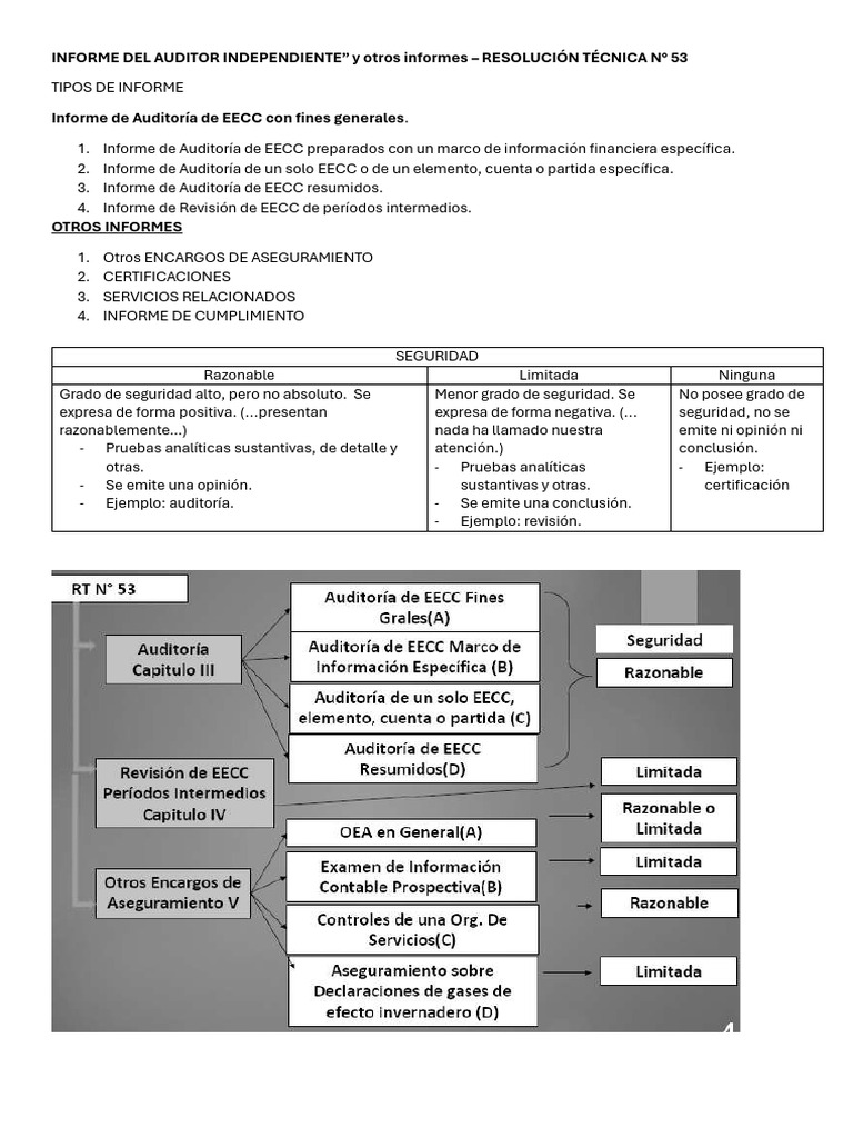 INFORME DEL AUDITOR INDEPENDIENTE - Auditoría | PDF | Auditoría | Contabilidad
