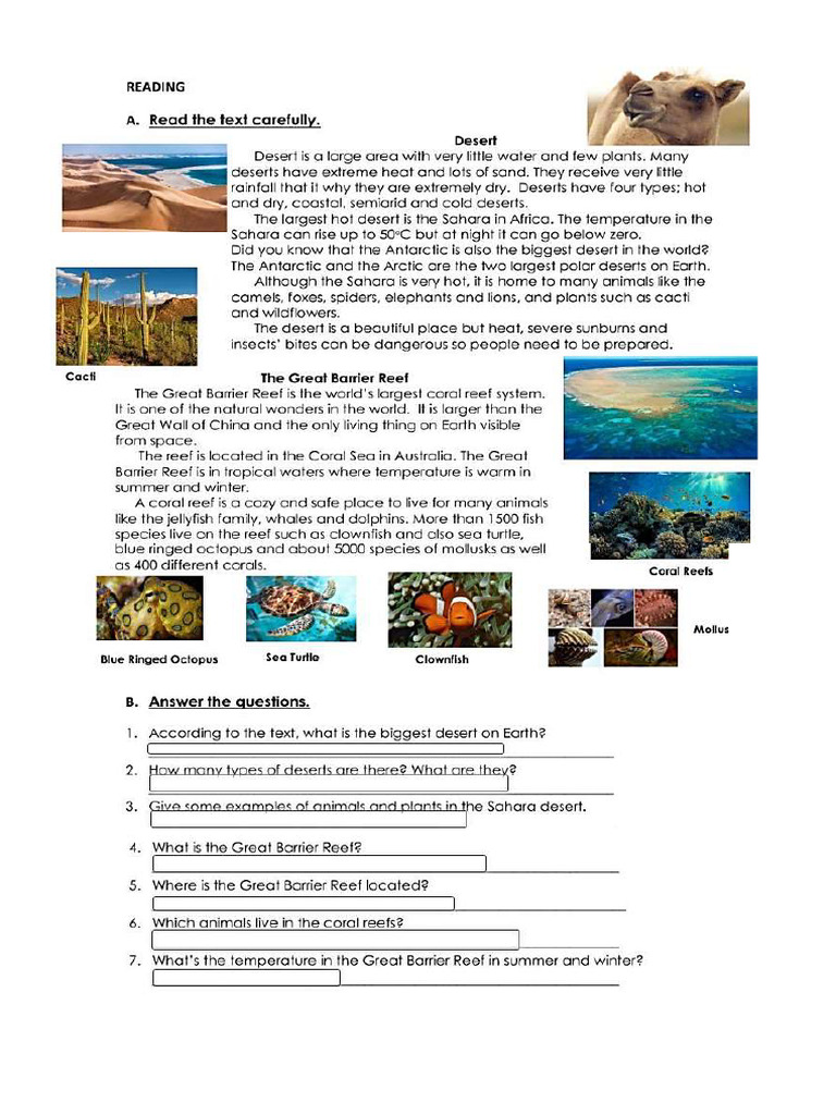 Reading Comprehension 11th Superlative and Comparative | PDF